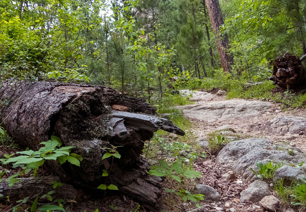 Horsethief-Grizzly-Centennial Loop