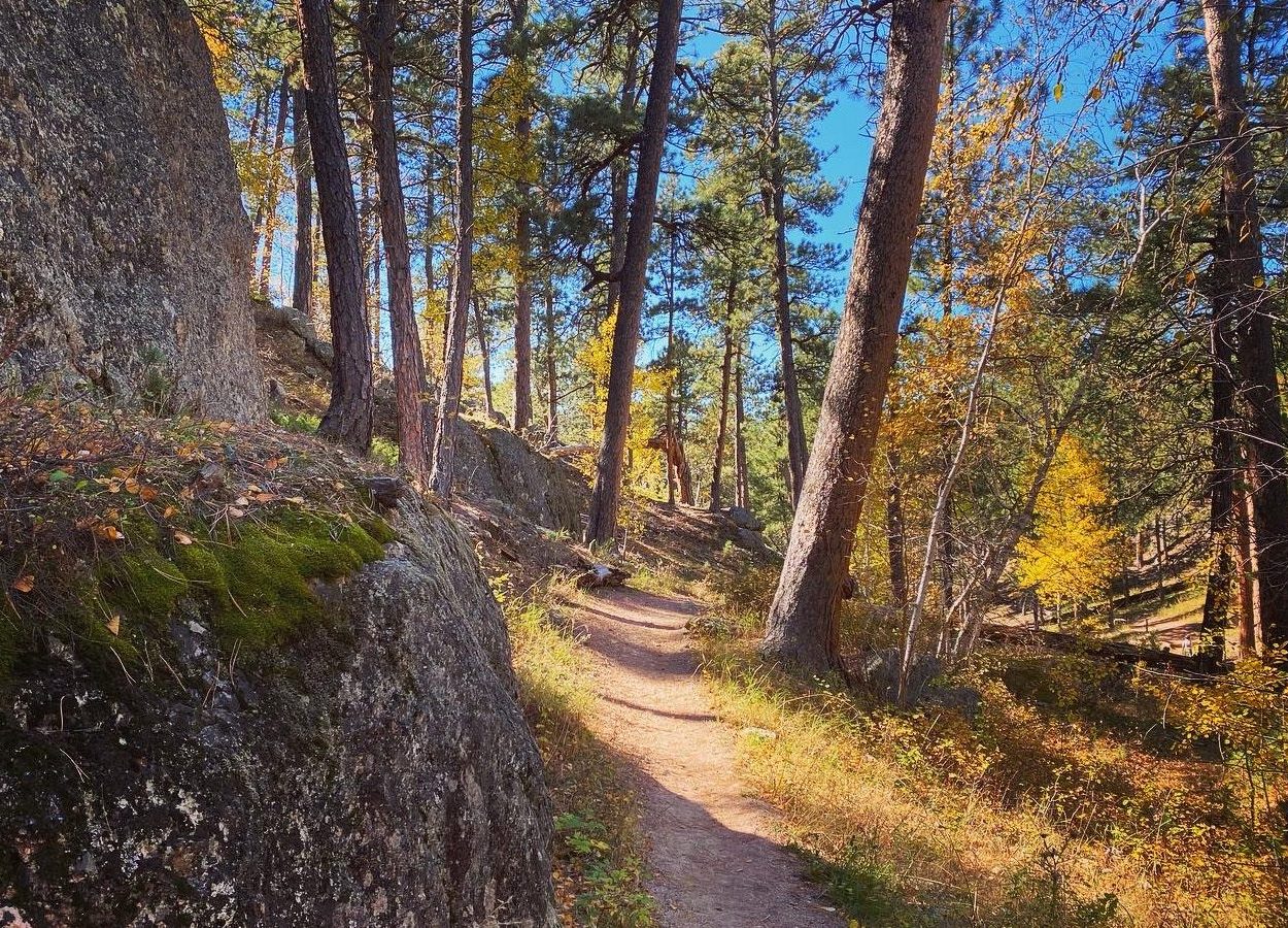 Blackberry | Trail Addict