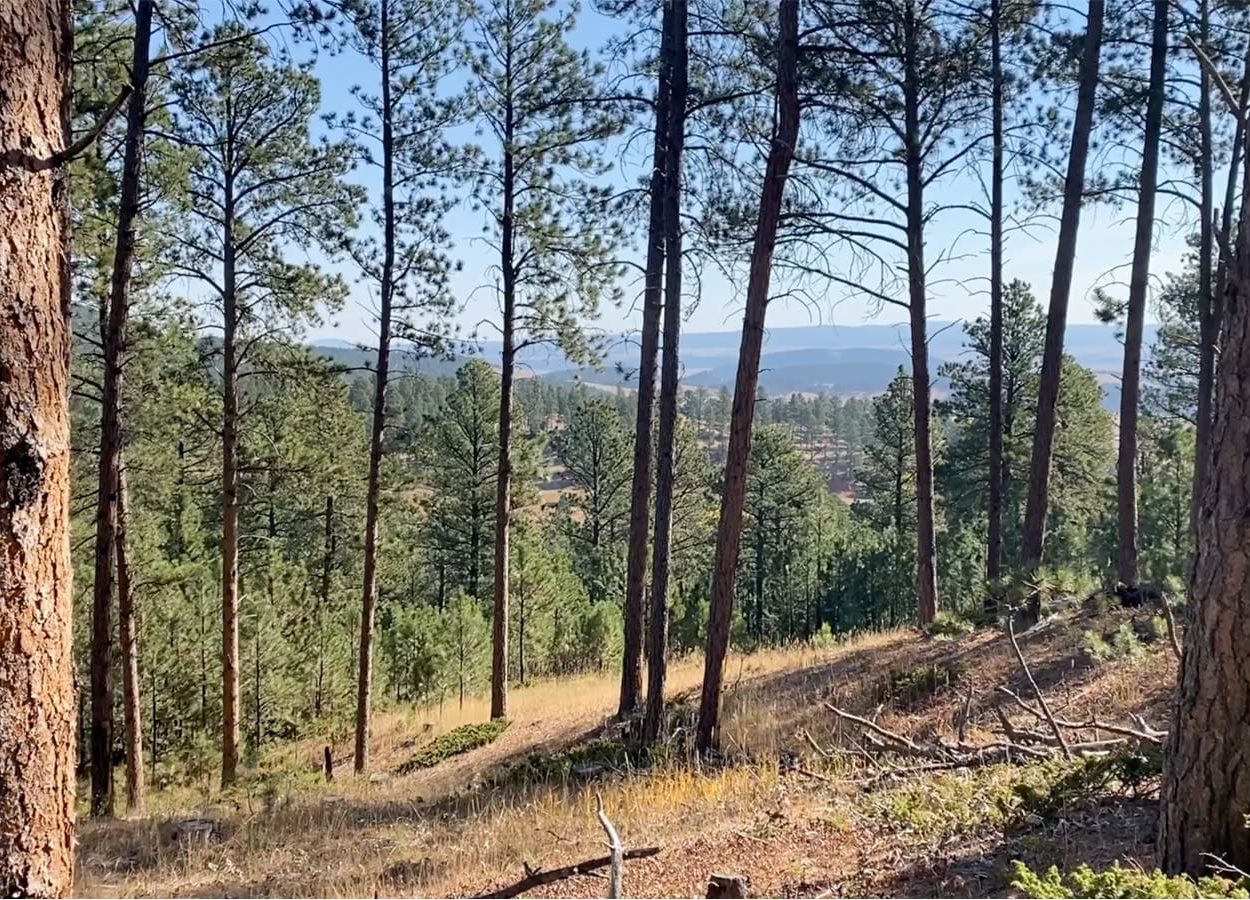 Carson Draw Spur 1 | Trail Addict